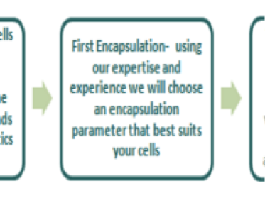 Mobile Austrianova Proof of Concept GMP Cells Encapsulation Cell-in-a-Box